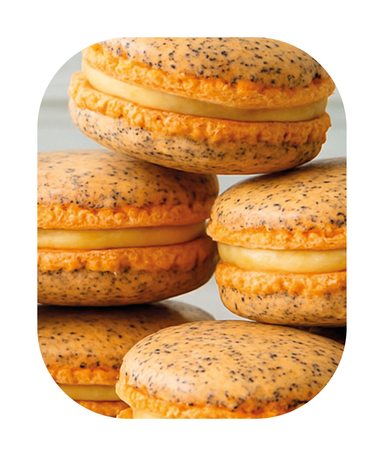 Fabricant et distributeur de macarons artisanaux – Mic Mac Pâtisserie