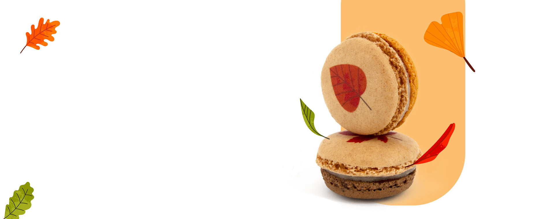 Fabricant et distributeur de macarons artisanaux – Mic Mac Pâtisserie